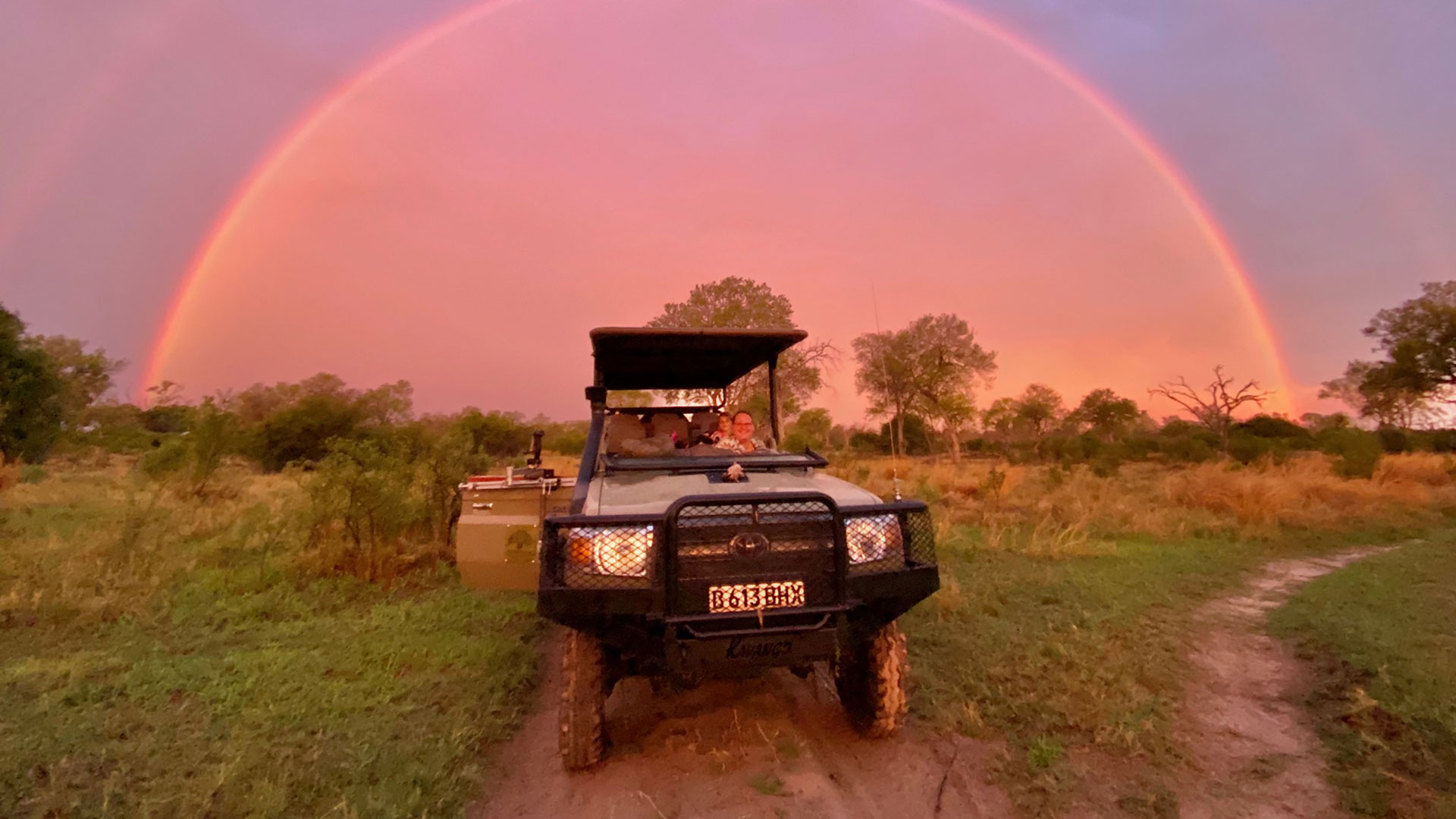 Machaba Camp | Sightings November 2020 | Machaba Safaris