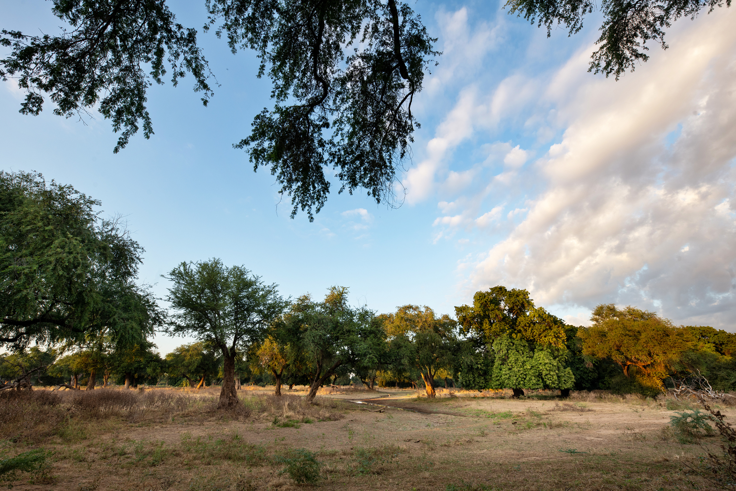 Zimbabwe - Mana River Camp - October 2022 | Machaba Safaris™