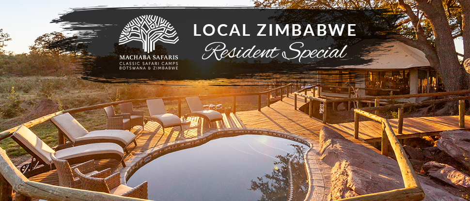 Local Zimbabwe Resident Special | Machaba Safarisâ„¢