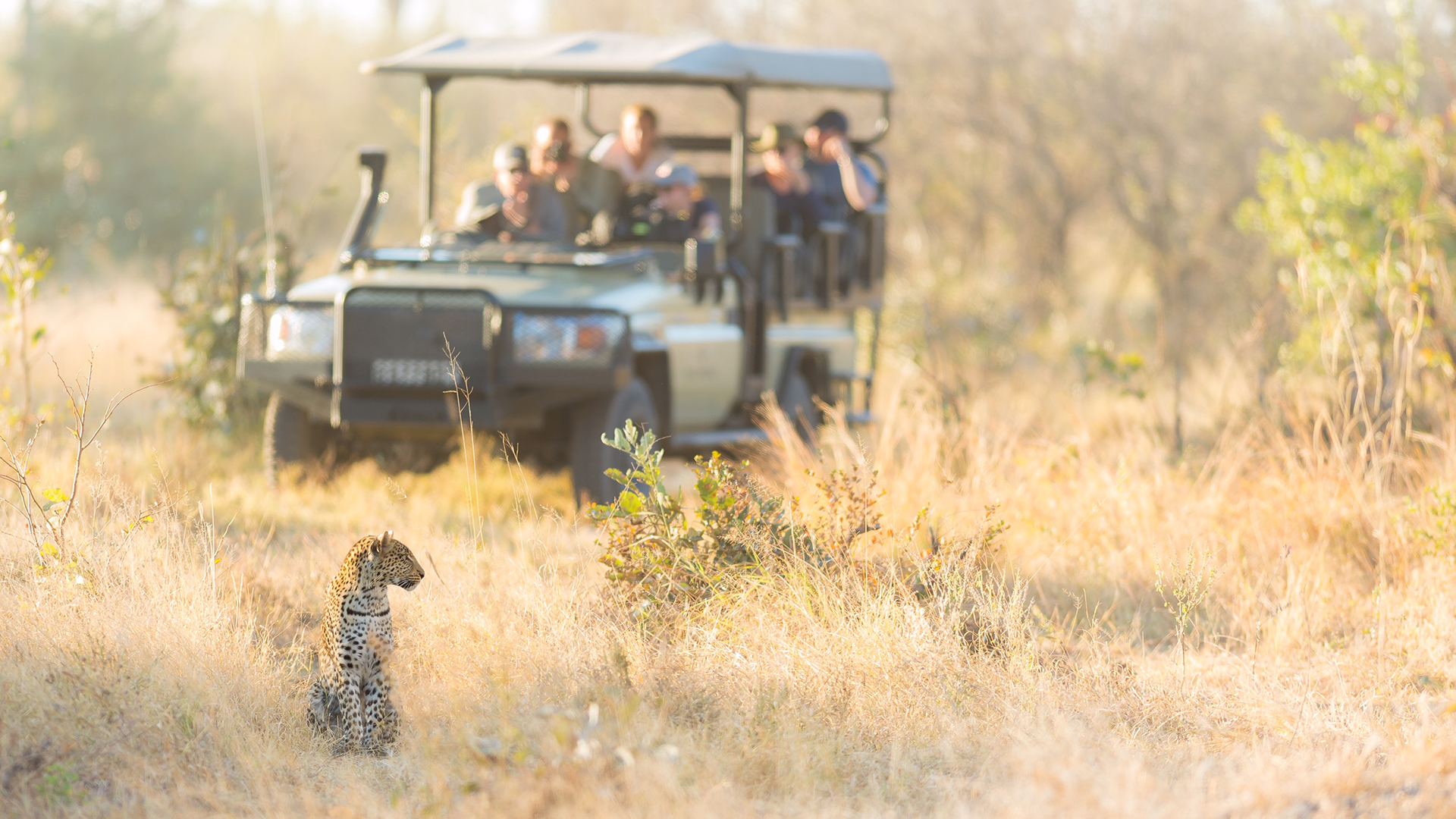 Machaba Camp | Sightings October 2020 | Machaba Safaris