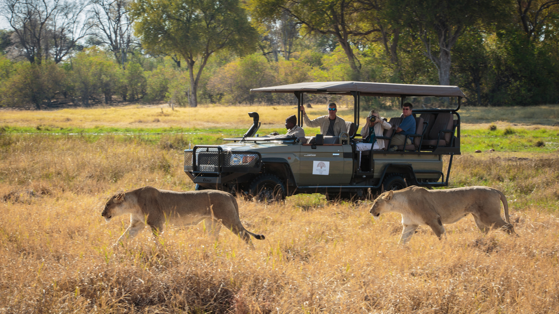 Safari Experiences at Machaba Safaris | Classic Safari Camps