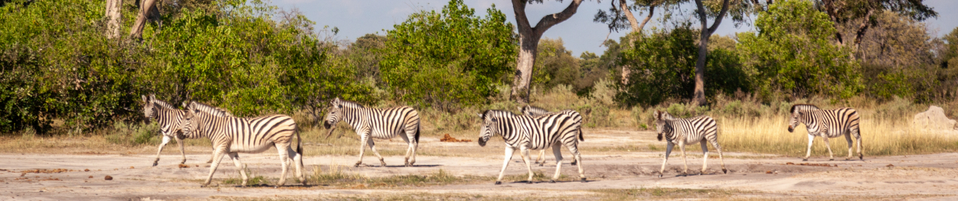 Driving Directions to Machaba Safaris | Botswana & Zimbabwe
