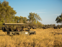 Machaba Camp | Okavango Delta Botswana | Machaba Safaris