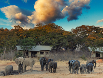 Machaba Camp | Okavango Delta Botswana | Machaba Safaris
