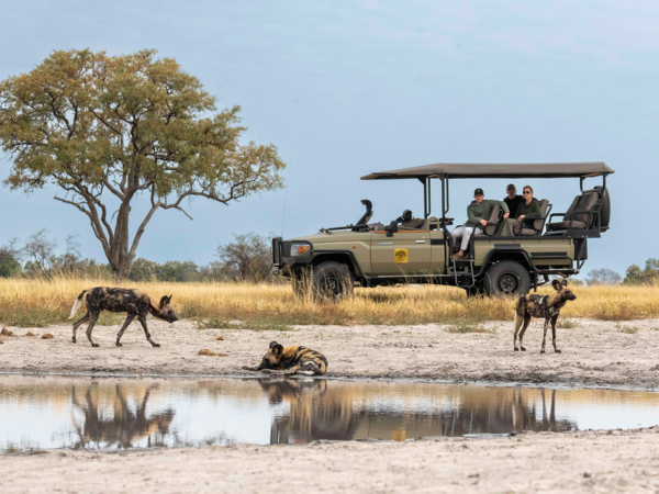 Safari Packages | Zimbabwe & Botswana | Machaba Safaris