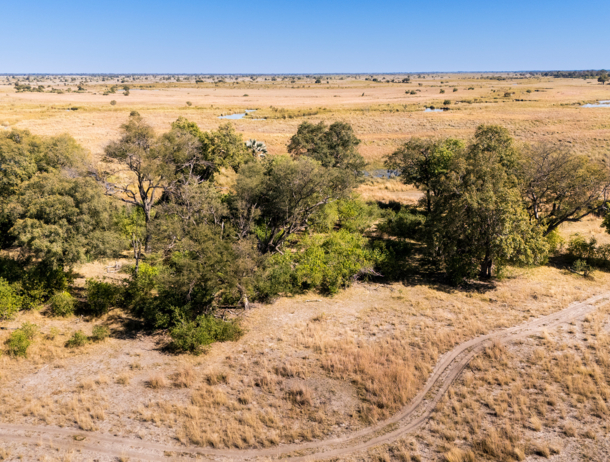 Monachira Camp | Okavango Delta Botswana | Machaba Safaris