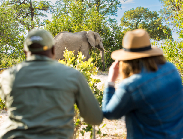 Machaba Camp | Okavango Delta Botswana | Machaba Safaris