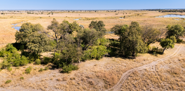 Monachira Camp | Okavango Delta Botswana | Machaba Safaris