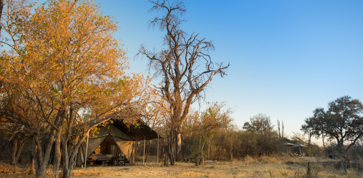 Rooms | Machaba Camp | Okavango Delta | Machaba Safaris