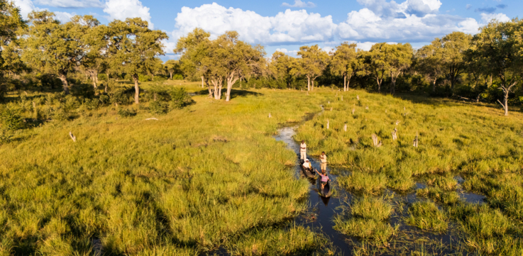 Little Machaba | Okavango Delta Botswana | Machaba Safaris