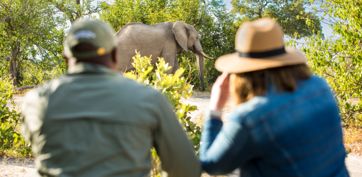 Machaba Camp | Okavango Delta Botswana | Machaba Safaris
